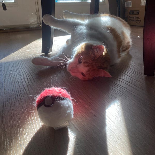 Food Toys for Cats, Cute Sweets for Cats, Donut Toys, Chocolate ...