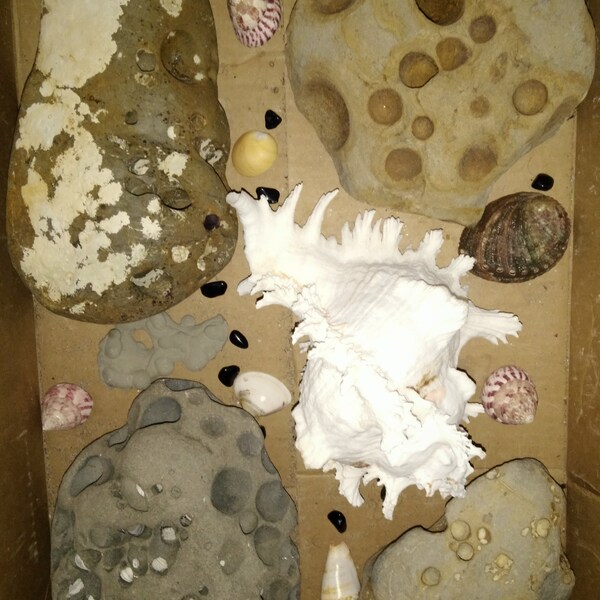 7oz Genuine HOLEY HOLED STONE Natural Indent Void Hole Indentation ...