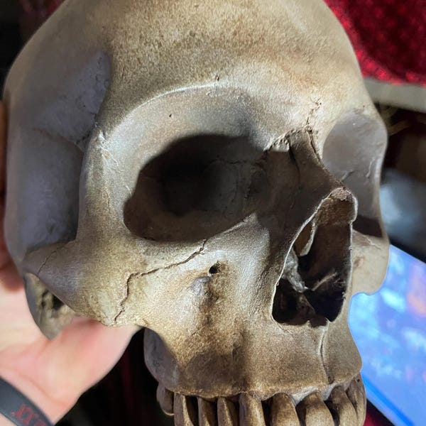 Black Vampire Skull .plaster of Paris Life Size Human Skull Replica. - Etsy