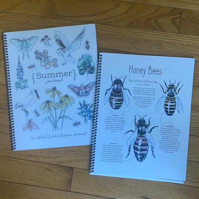 SUMMER Journal Homeschool Printable Charlotte Mason Nature Study - Etsy