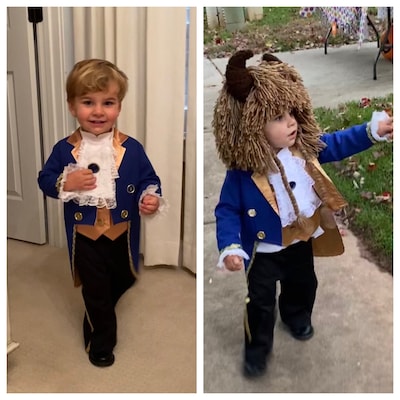 Beast Costume 4 Piece Fully Lined Tuxedo Jacket, Vest, Shirt, Pants ...