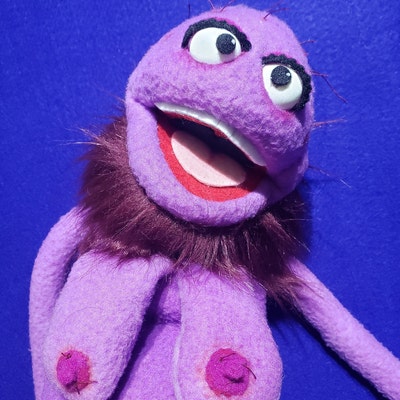 Wayne Live Hand Puppet - Etsy