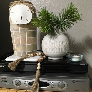 Brown Turkey Wing Seashells Ark Shells Arca Zebra Coastal | Etsy