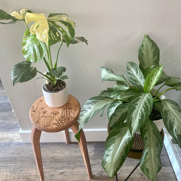 Cactus, Plant Stand, Side Table, Plant Shelf, Wood Table, Gift for ...