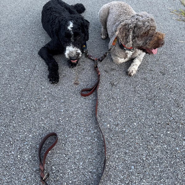 Women's Upper Arm to Elbow Leather "wood Bark" Pauldron/shoulder Armor ...