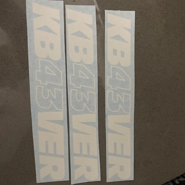 The Division Phoenix Birdie Decal - Etsy