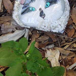 Hand Painted Weather Rock Novelty Forecasting Stone Small - Etsy