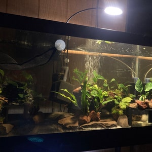 Skeleton Human Hand right Hand Prop Sculpture | Etsy