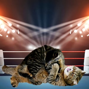 250 Silver Styles Photoshop, Layer Styles Texture, Glitter Styles ...