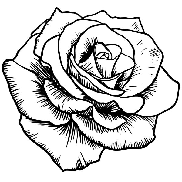 Vintage Black Rose Outline Line Art Logo Decal Vector Floral Cricut Cut