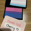 Transgender Flag Embroidered Patch | LGBT Trans Pride | Hook and Loop ...