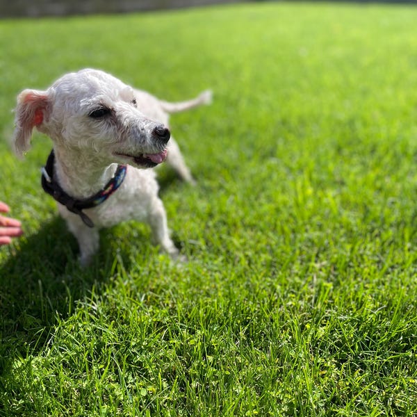 Accurate Telepathy Reading Without Tarot Cards, Same-hour Psychic Mind ...