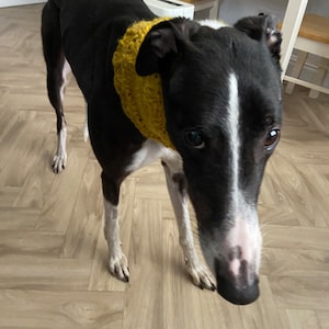 Chunky Knit Snoods Greyhound Lurcher Whippet - Etsy