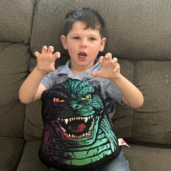 Double Sided Plush Accent Throw Pillow Cushion Decor Secret Agent Video ...