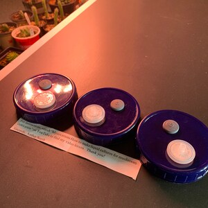 Rainbow Set Grain Spawn Mason Jar Lids Wide Mouth for Mycology | Etsy