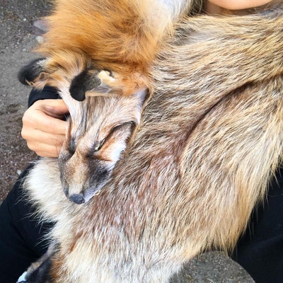 Beaver Fur Can and Bottle Cooler/cozy With Pink Neoprene Insert listing ...