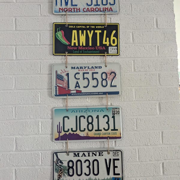 REAL License Plates in 8 Different Colors From at Least 3 Different ...