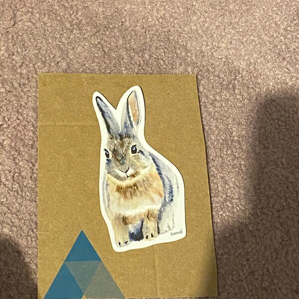 Bunny Stickers, Adorable Rabbit Vinyl Stickers, for Water Bottles and ...