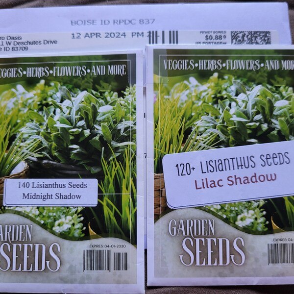 65 Columbine Seeds Blush Rose Flower Seeds, Heirloom Seeds, Non Gmo ...