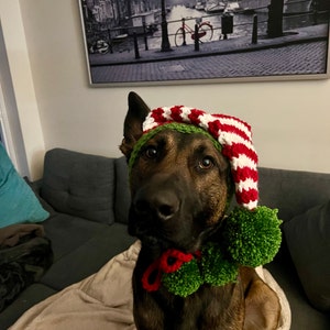 Devil Dog Costume Devil Horns for Large Breed Dogs Red Devil Dog Hat ...