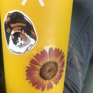 Buffering Cat Meme Sticker Cat Meme Sticker Loading cat | Etsy