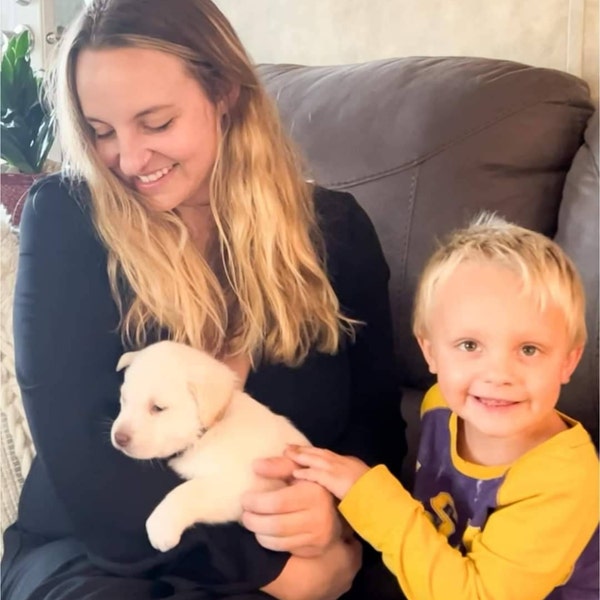 Holiday Bookstore by Nysha Lilly Paint by Numbers Deluxe - Etsy