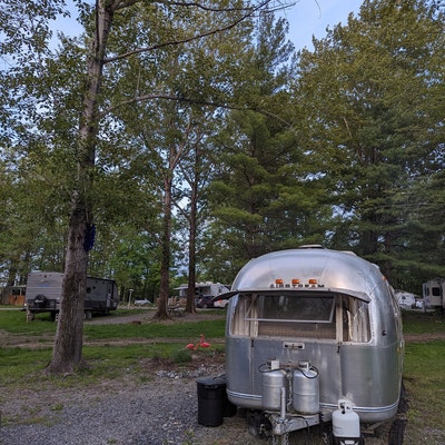 The haint Chaser Glass Bottle Tree by Cubby's - Etsy