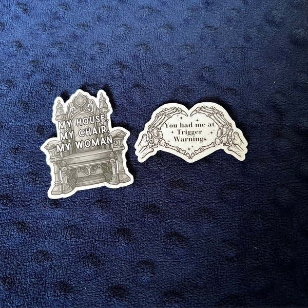 My House My Chair My Woman Sticker, Bookish Sticker, Fourth Wing, Iron ...