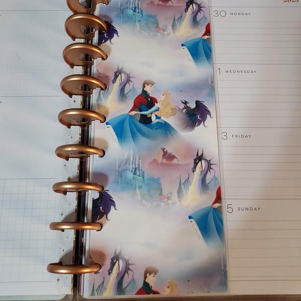 Disney Castle Planner Covers. Available Micro, Mini and Classic and Big ...