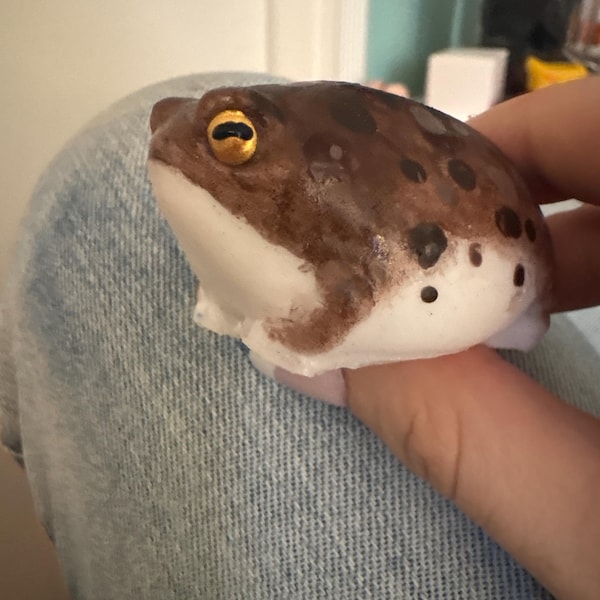 SQUISHY Desert Rain Frog. Cute Butt Frog Fidget Weirdcore Desk Toy for ...