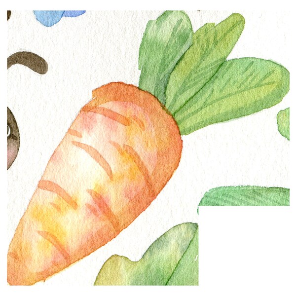 Dzikie Kwiaty Clipart / Maki i Chabry / Akwarela Kwiatowa / Pliki PNG ...