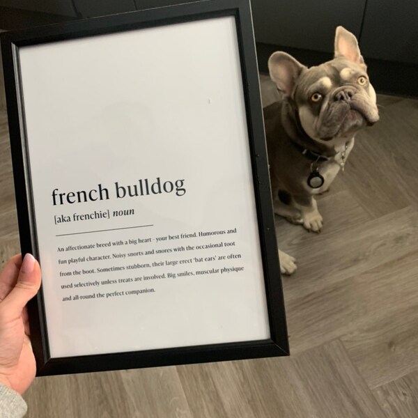 French Bulldog Definition Print | Wall Art | Living Room | Bedroom ...