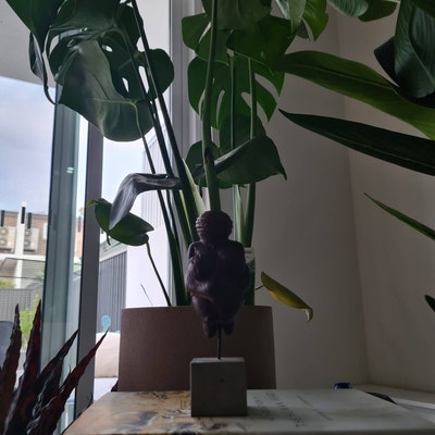 The Ambum Stone, Ambum Stone Replica, Ancient Artifact, Echidna, Museum ...