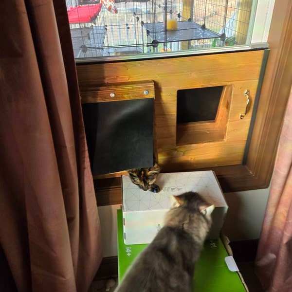 CAT DOOR LOCKS - Etsy