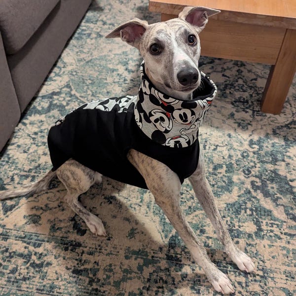 Sewing Pattern for Italian Greyhound Jumper / Fleece / Top / Tshirt - Etsy