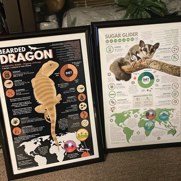 Bearded Dragon Print | Animal Infographic Poster Ft. Original Digital ...