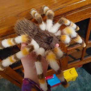 Realistic Tarantula Spider Poseable Shelf Decor Wall Mountable Faux ...