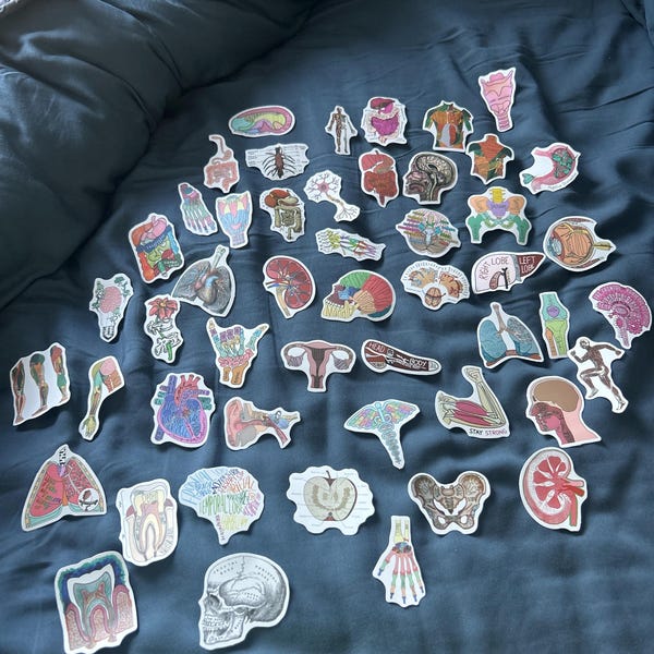 100 Nurse Stickers Pack, Medical Aesthetic, Funny Nursing Decals ...