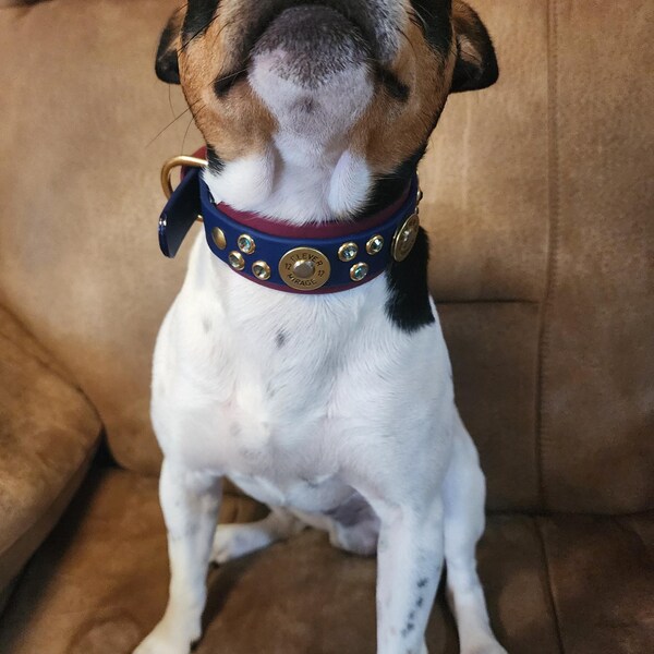 17.5” Red ‘rossi’ Bling Biothane Dog Collar, Premade Waterproof Luxury ...