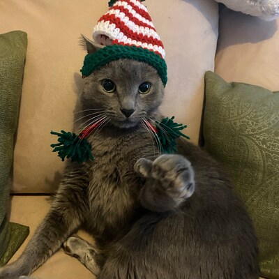 Crochet Pattern: Elf Hat for Cats, Cat Elf Hat Pattern, Christmas ...
