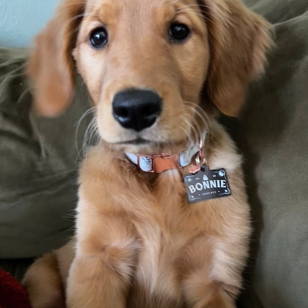 Witchy Pet ID Tag, Custom Personalized Dog or Cat Tags, Mystical Gothic ...