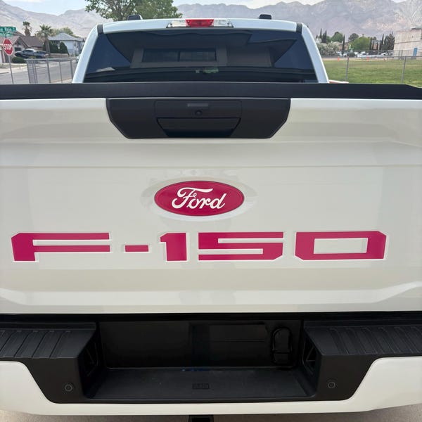 2021-2026 Ford F-150 Tailgate Letter F150 Vinyl Inserts Decals Stickers ...