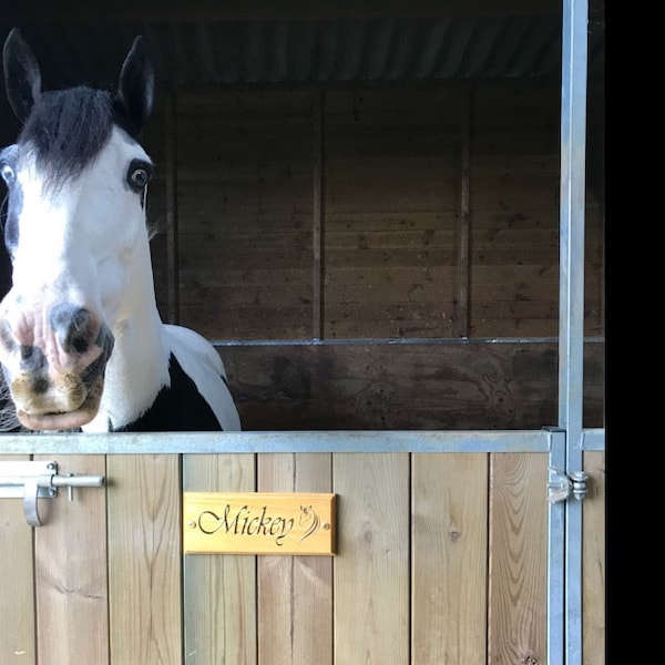 Horse Name Plate Stable Door Sign Plaque (vivaldi Font & Dressage Logo ...