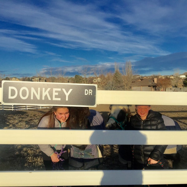 Donkey, Donkey Gift, Donkey Sign, Donkey Decor, Donkey Expert, Donkey ...