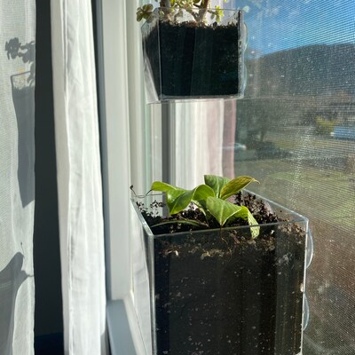 Window Planter Clear 4 Inch Cubed Style Suction Cup Planter That ...