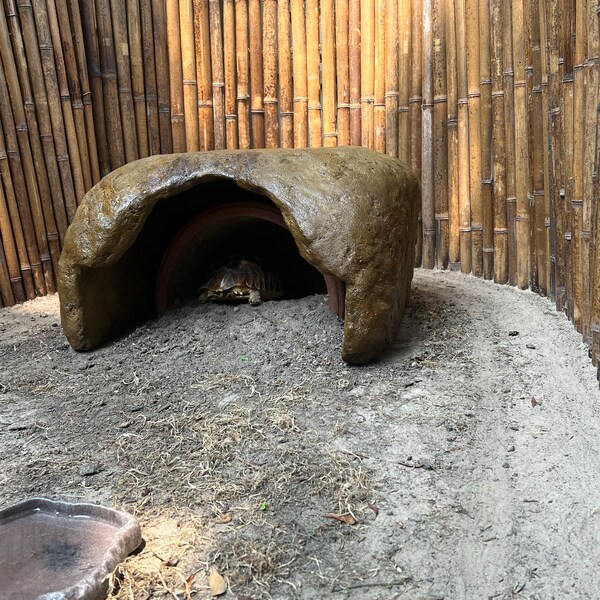 LARGE Turtle Basking Platform Dock Ramp for Over the Tank, Turtle Dock ...