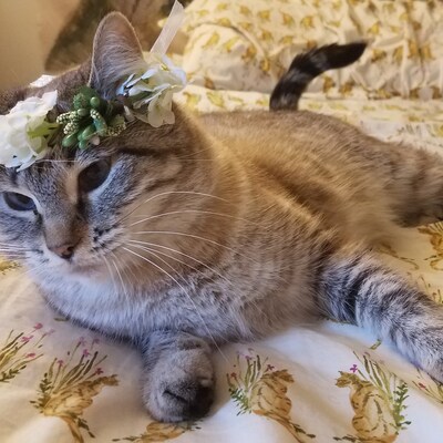 Cat Dog White Flower Hairband Headband Crown Halloween Costume Hat ...