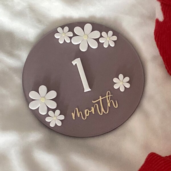 Acrylic Baby Milestone Marker, Baby Milestone Discs, Interchangeable ...