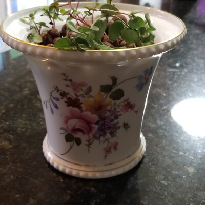 Signed Butler Ladybug Pin Red Enamel Clear Crystals Gold - Etsy