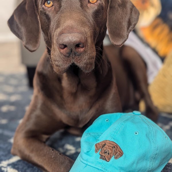 Put Your Pet on a Baseball Cap, Custom Embroidered Dog Portrait Cap ...